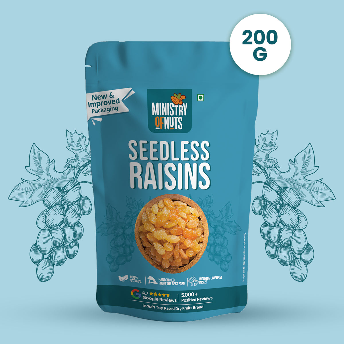 Buy Seedless Raisins 500 Grams (Premium Kishmish) Online – Ministry-Of-Nuts